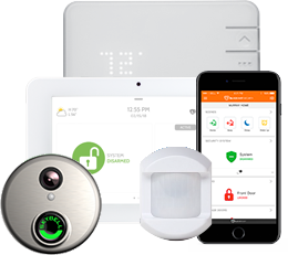 Packages 2 - Black Hat Security